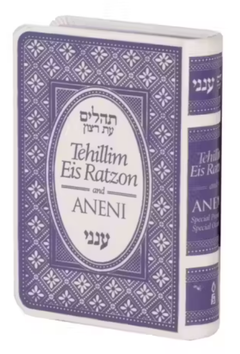 Eis Ratzon Aneni with Tehillim - Flex Cover, Mini – Ben Israel Inc.